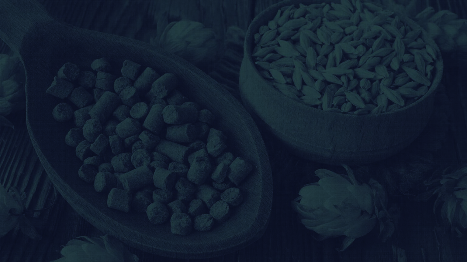 Beer Capitol Distributing, LLC – A family-owned, relationship-driven ...