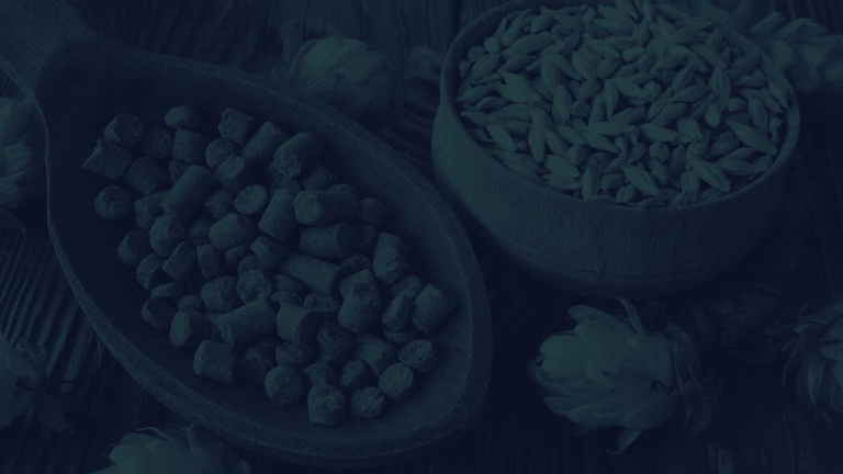 Beer Capitol Distributing, LLC – A family-owned, relationship-driven ...